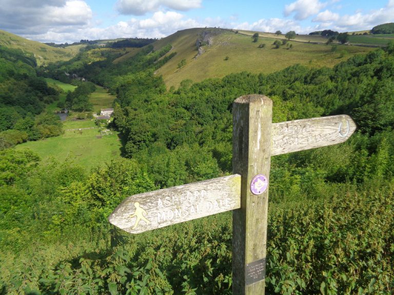 25 Principles for Adult Behavior in Healthcare - Manage My Practice